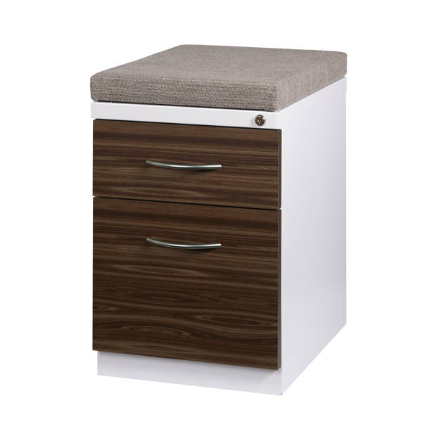 Inbox Zero Hirsh 30'' Wide 2 -Drawer Steel File Cabinet & Reviews | Wayfair