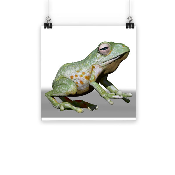 Marick Booster Frog Wall Art - Wayfair Canada