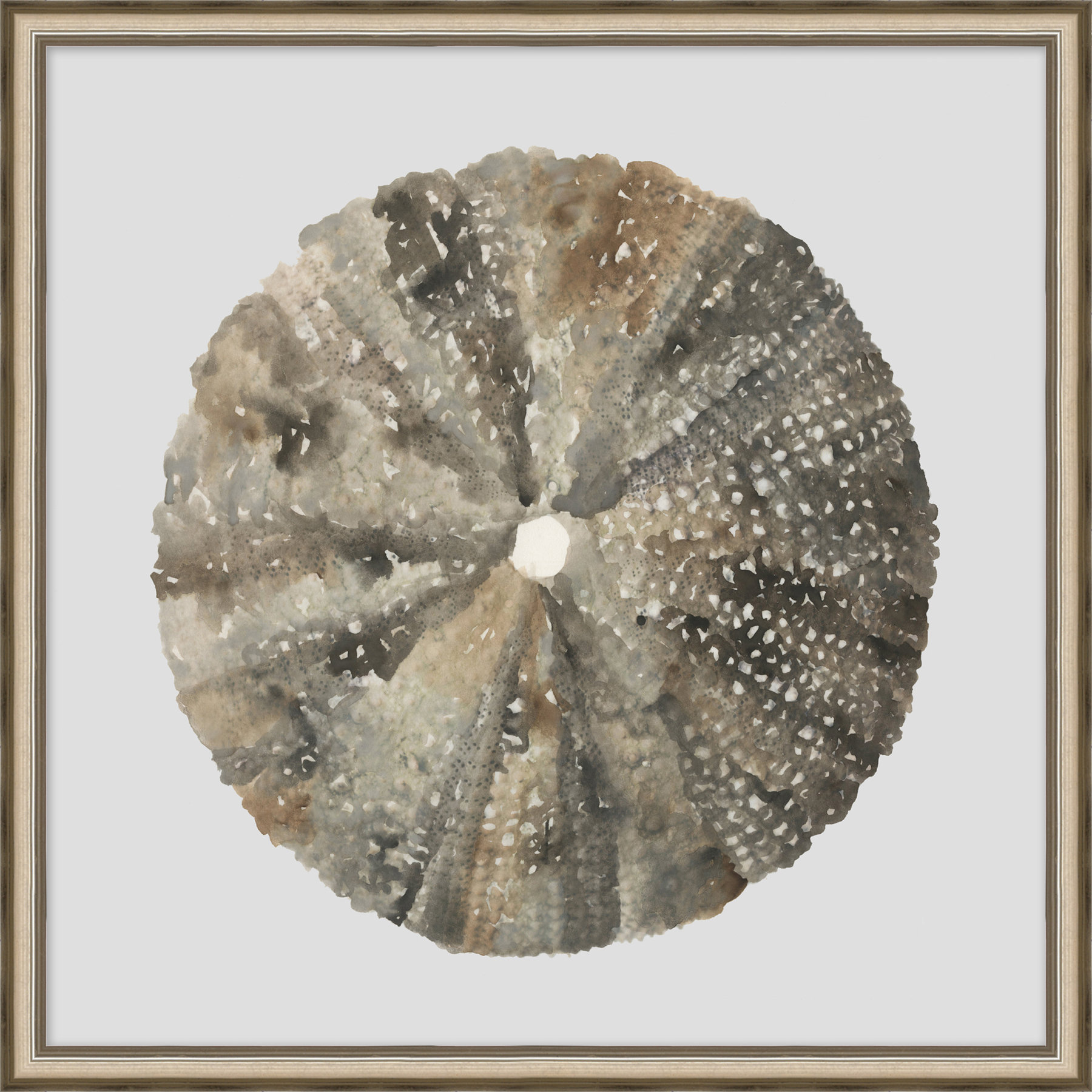 Wendover Art Group Watercolor Sea Shells 6 - Painting on Paper | Wayfair