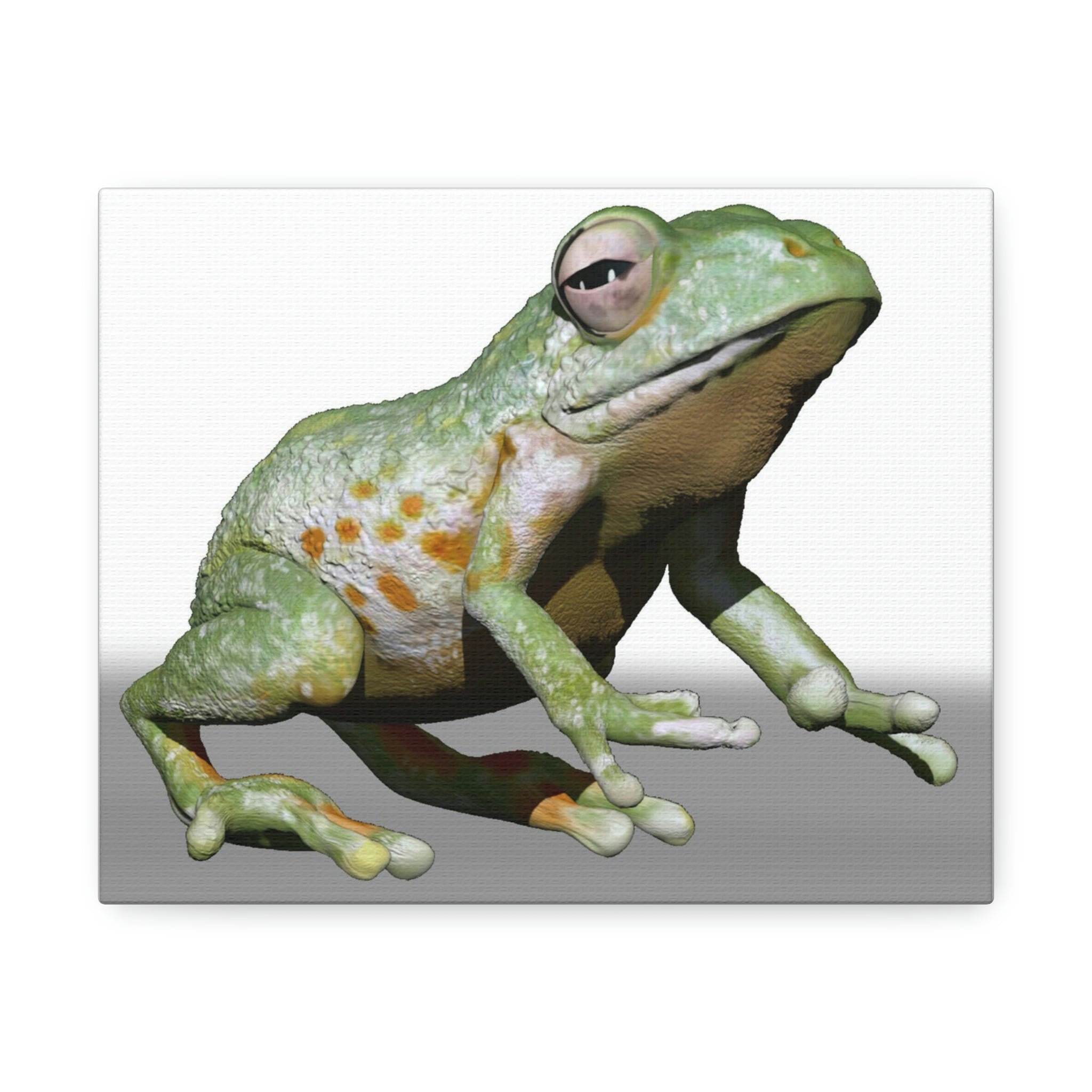 Winston Porter Frog Stretched On Canvas Illustration | Wayfair