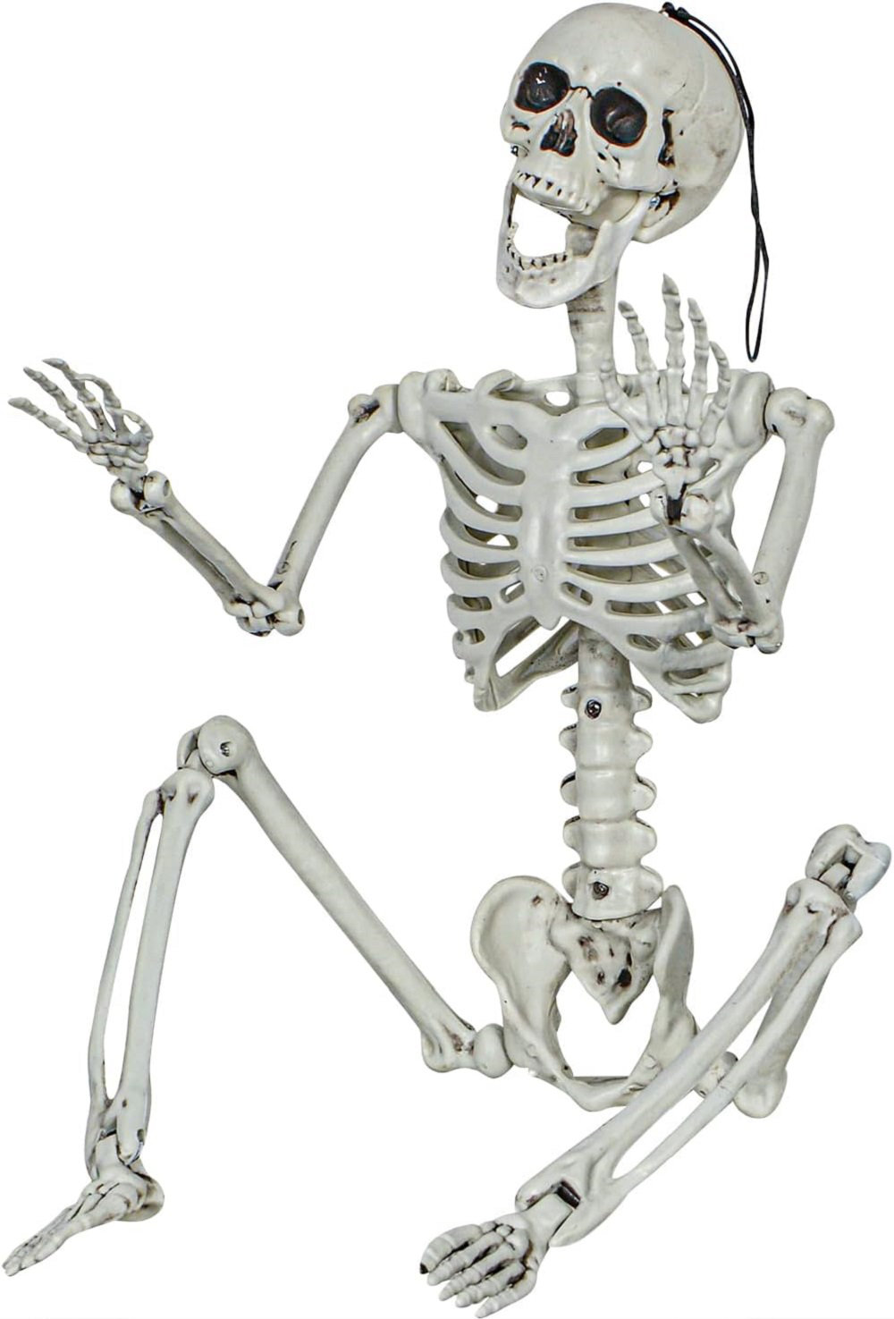 The Holiday Aisle® 3Ft Halloween Skeleton Realistic Human Plastic Full ...