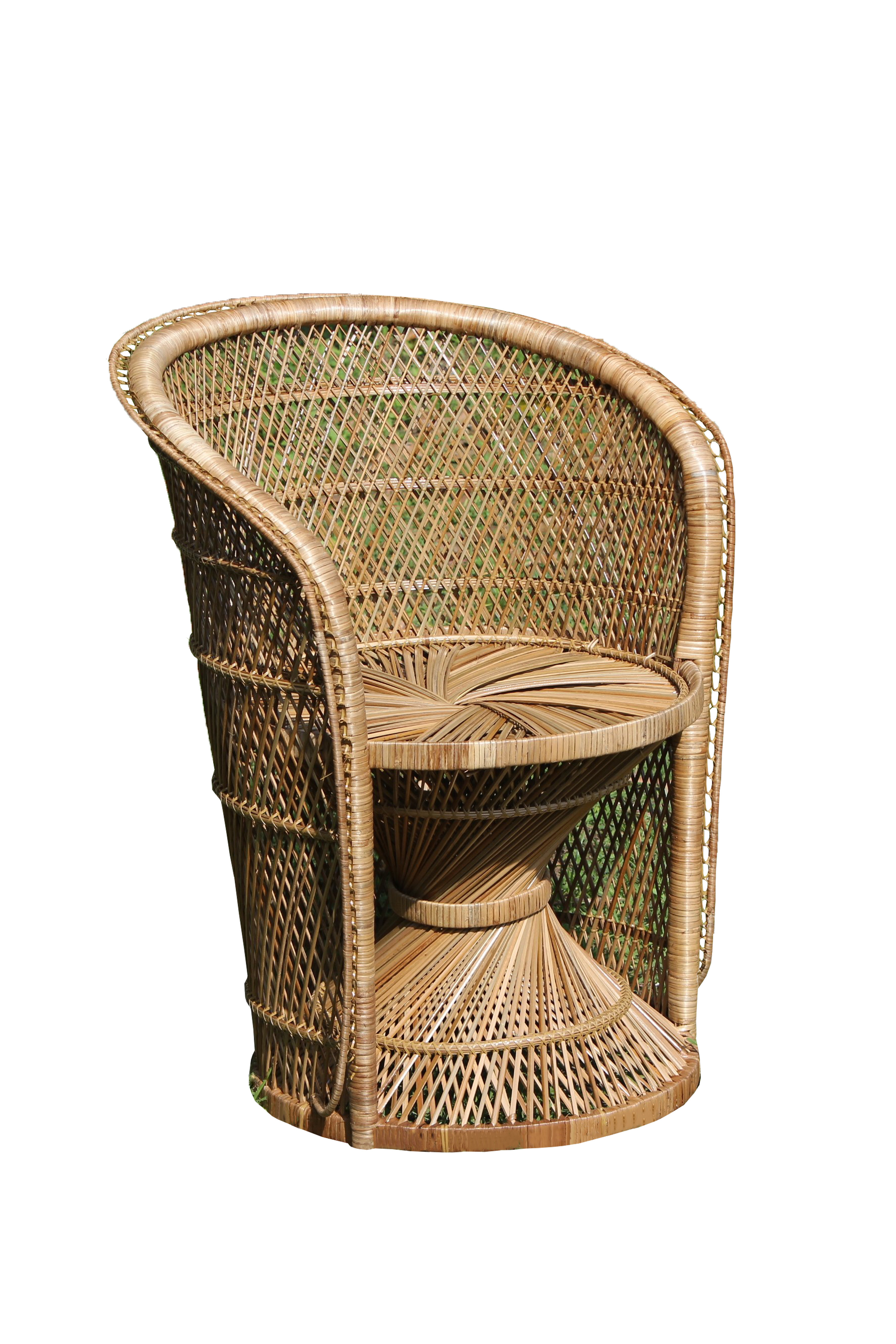 Bayou Breeze Romulus 25" Wide Barell Chair - Wayfair Canada