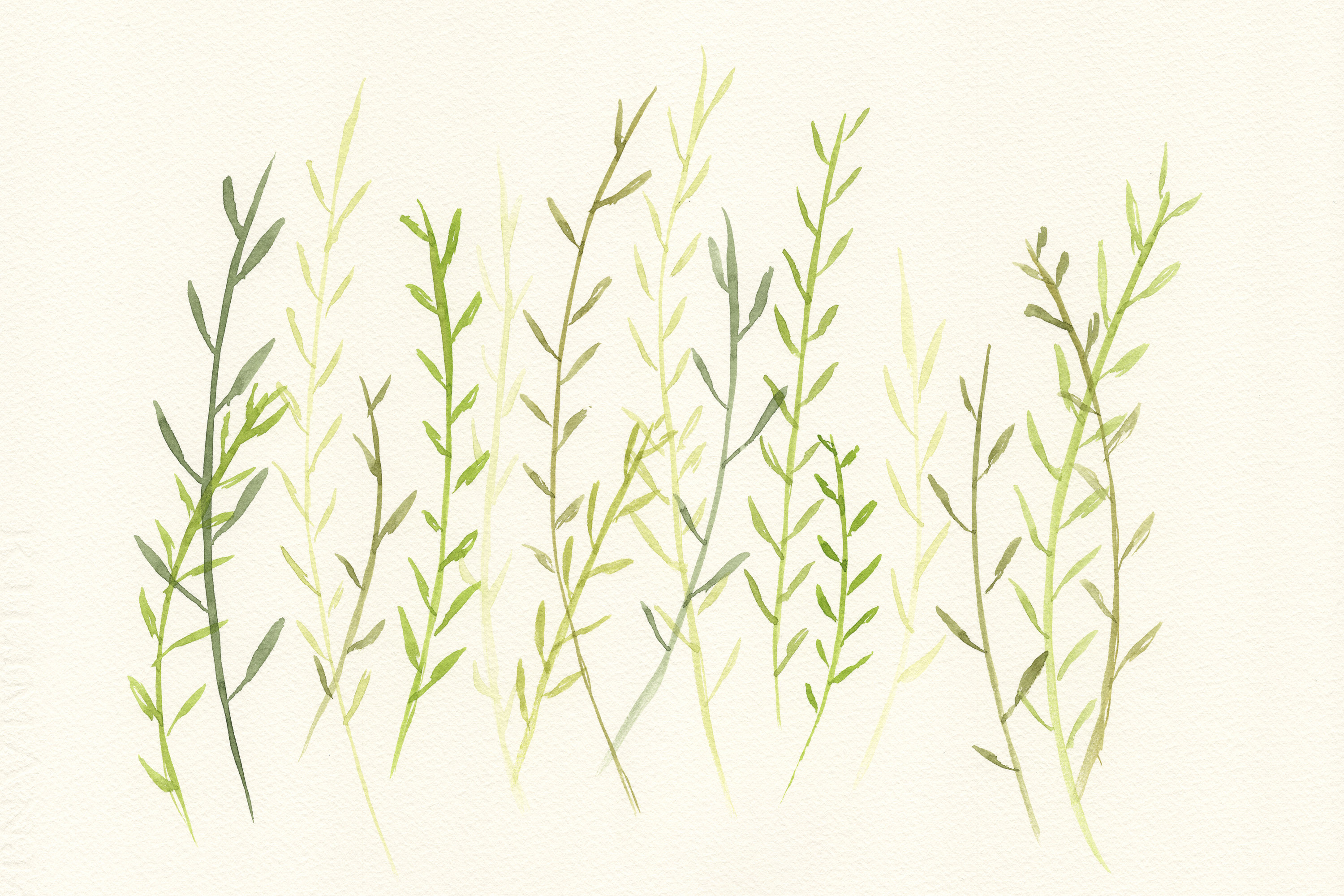 Winston Porter Thin Fern Grass On Canvas Print | Wayfair