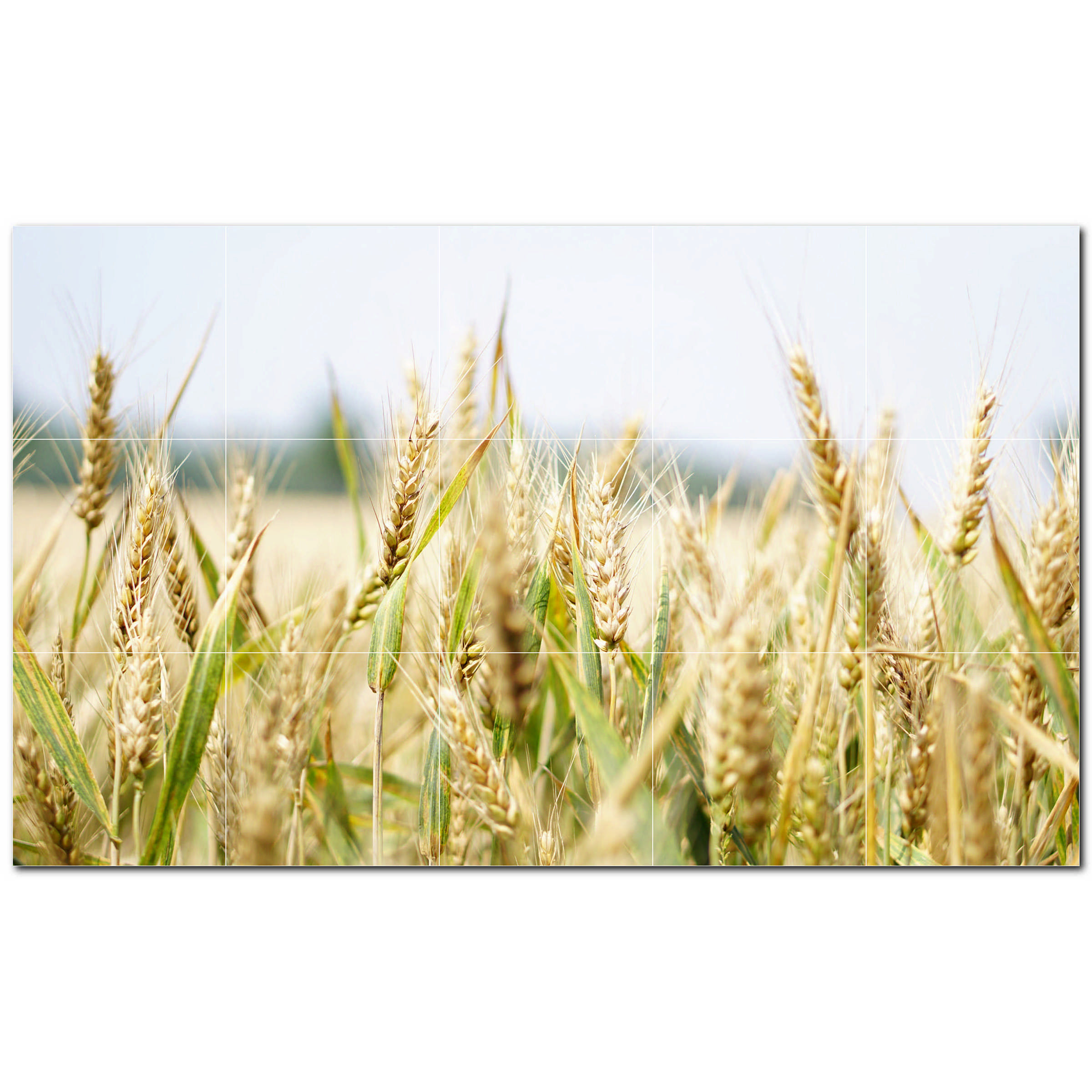 Picture-Tiles.com 40" x 24" Ceramic Farm Photo Decorative Mural Tile ...