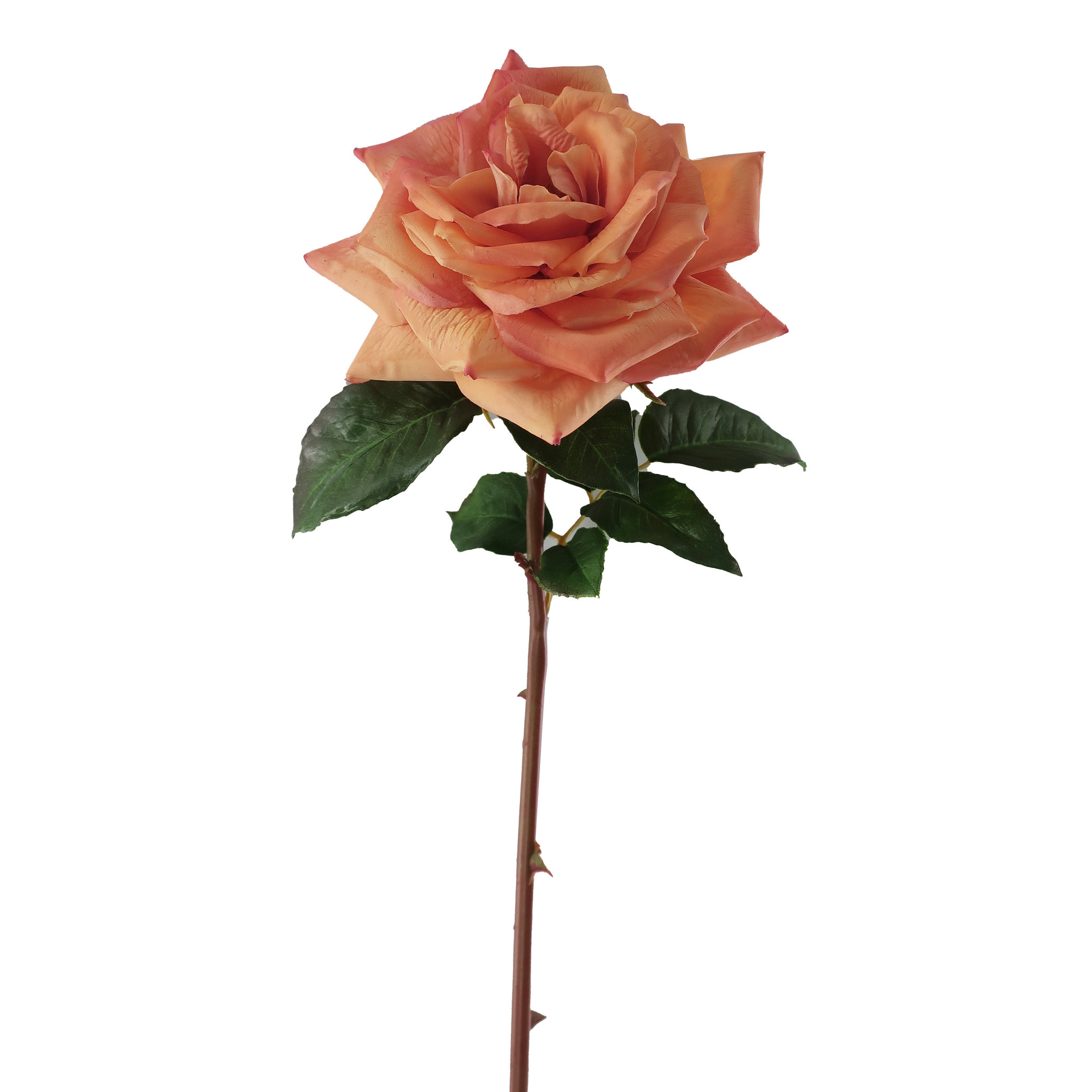 Winward Silks WESTMINSTER ROSE STEM | Perigold