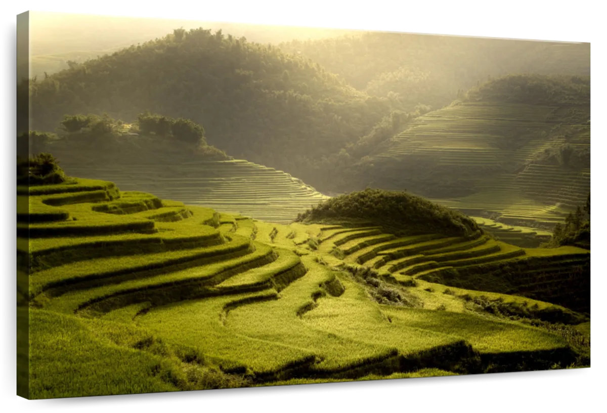 Millwood Pines Alvord Terraced Rice Fields | Wayfair
