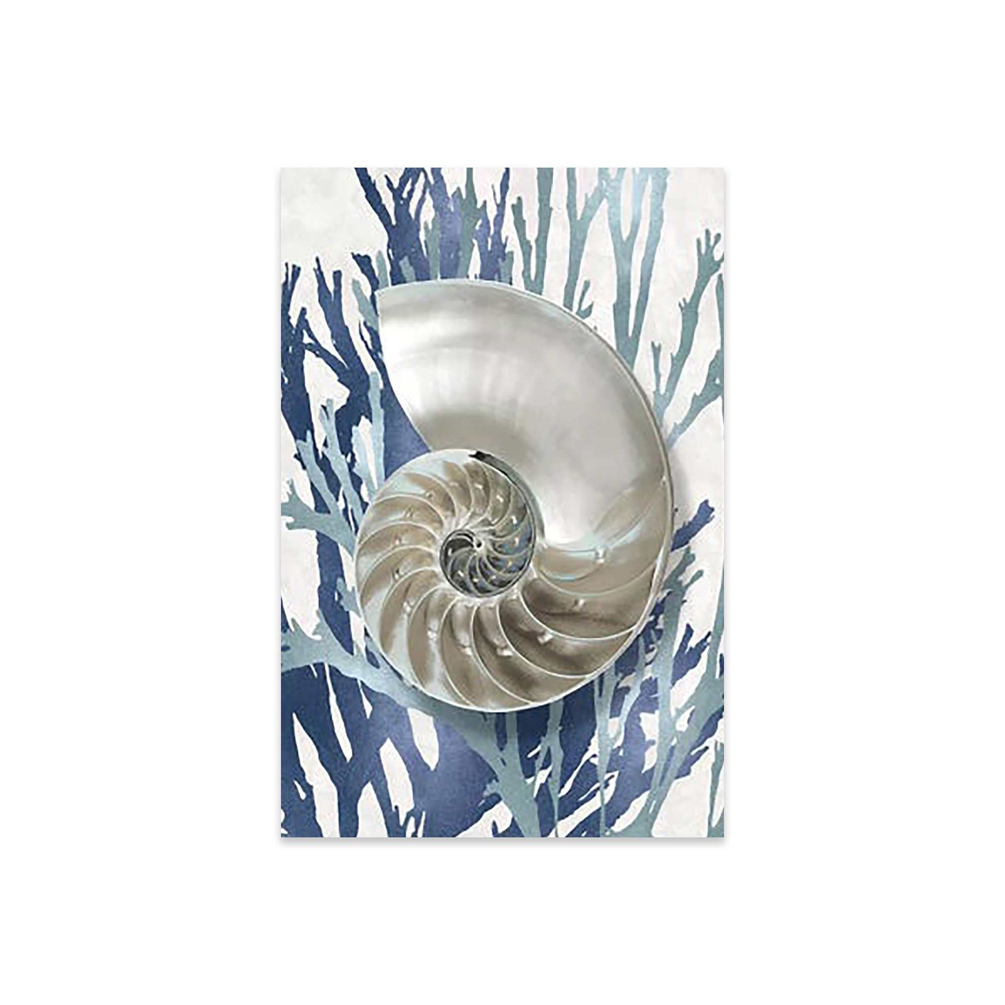 Dovecove Shell Coral Aqua Blue II Print On Acrylic Glass | Wayfair