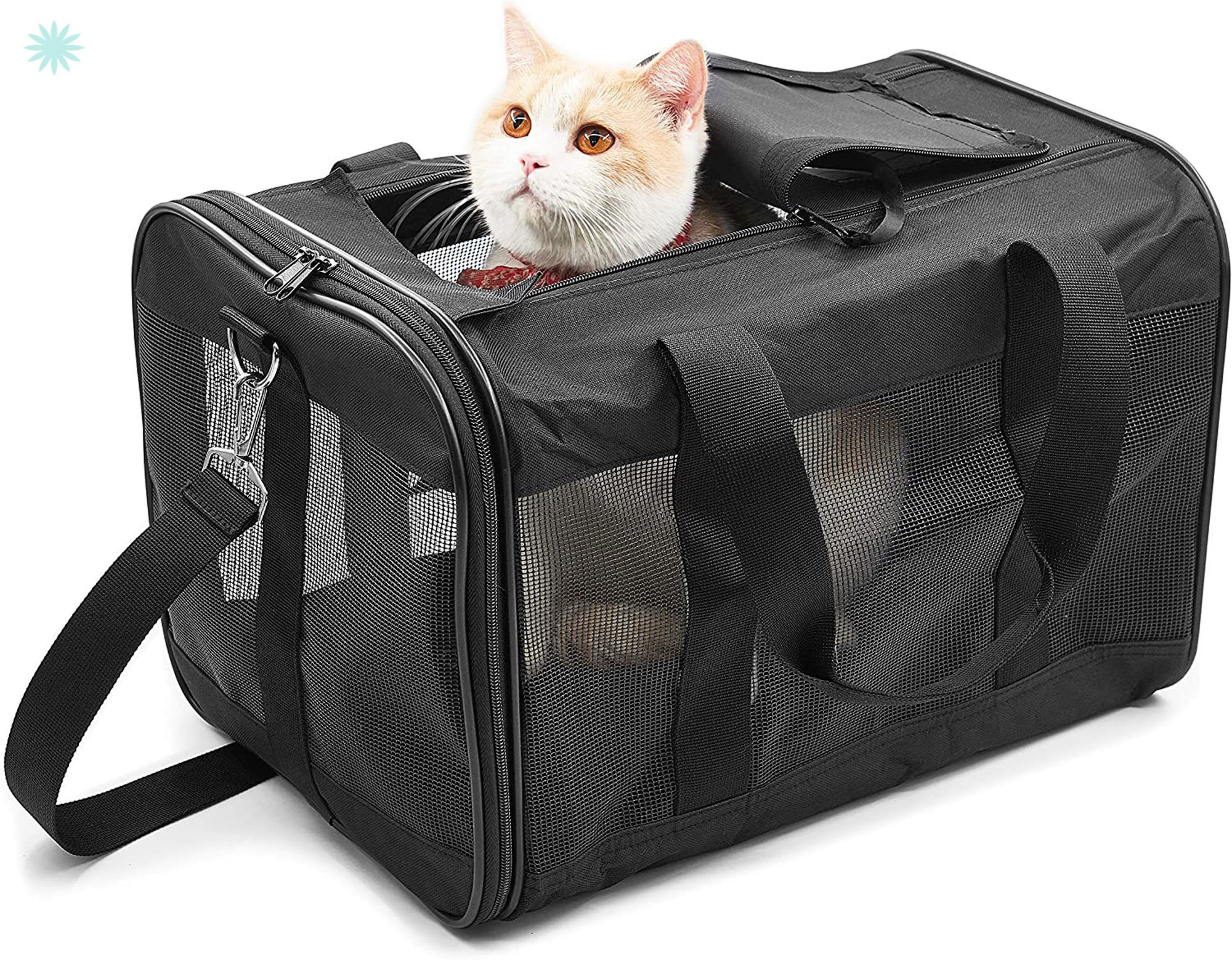 Tucker Murphy Pet™ Pet Travel Carrier Soft Sided Portable Bag for Cats ...