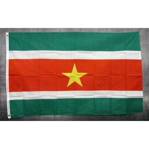 NeoPlex Georgina Double Sided 36'' H x 60'' W Polyester House Flag ...