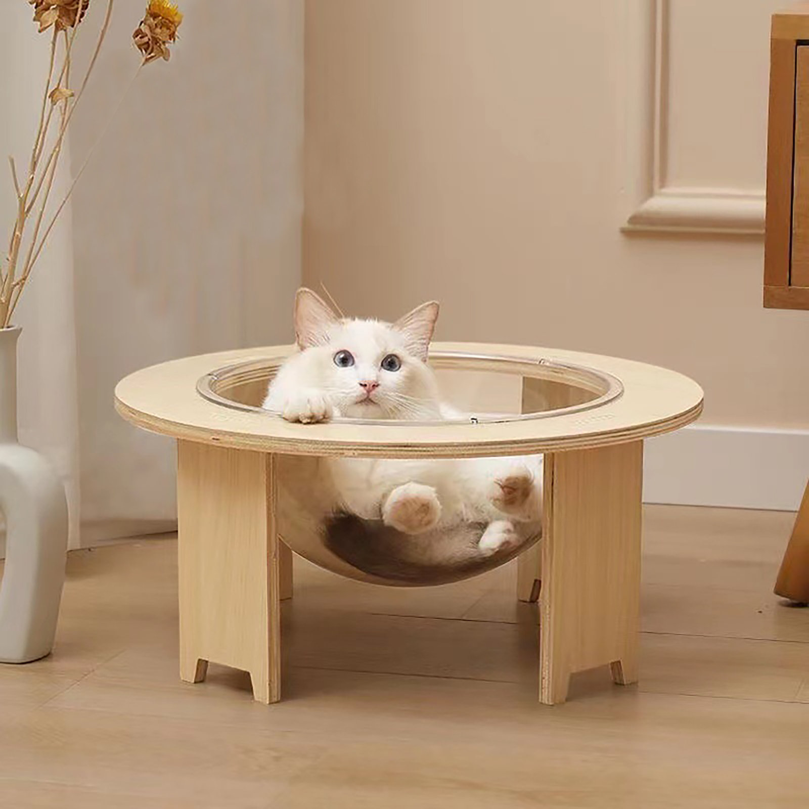 Tucker Murphy Pet™ Dredyn Novelty Capsule Cat Bed | Wayfair