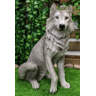 Millwood Pines Tolan Wildlife Sitting Alpha Gray Wolf Statue & Reviews ...