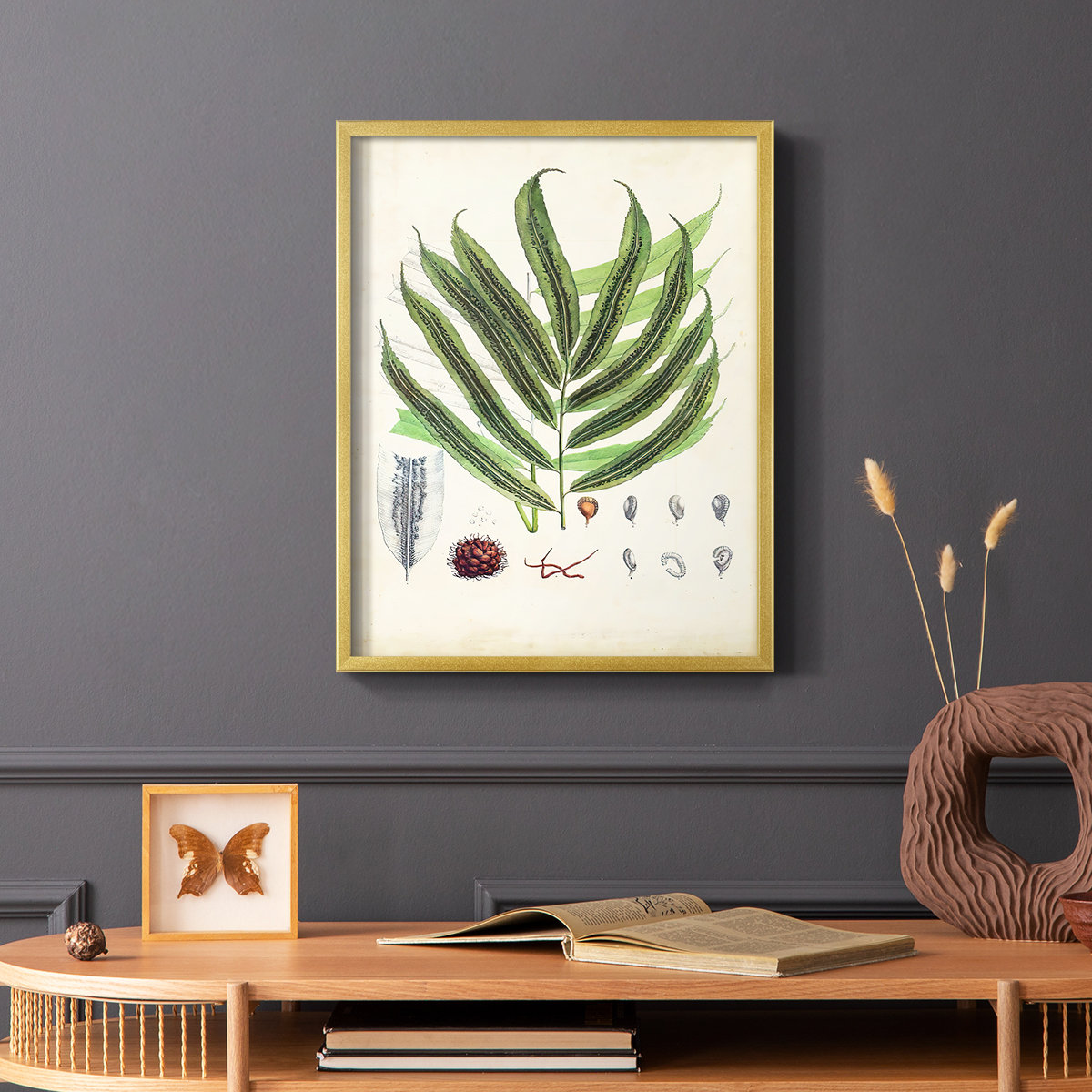 Rosalind Wheeler Collected Ferns III Framed Print - Solid Wood | Wayfair