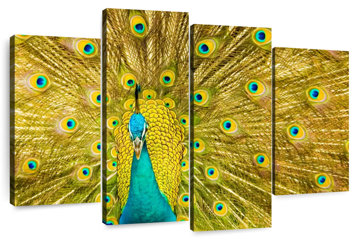 Ebern Designs Glorious Peacock Feather - Wayfair Canada