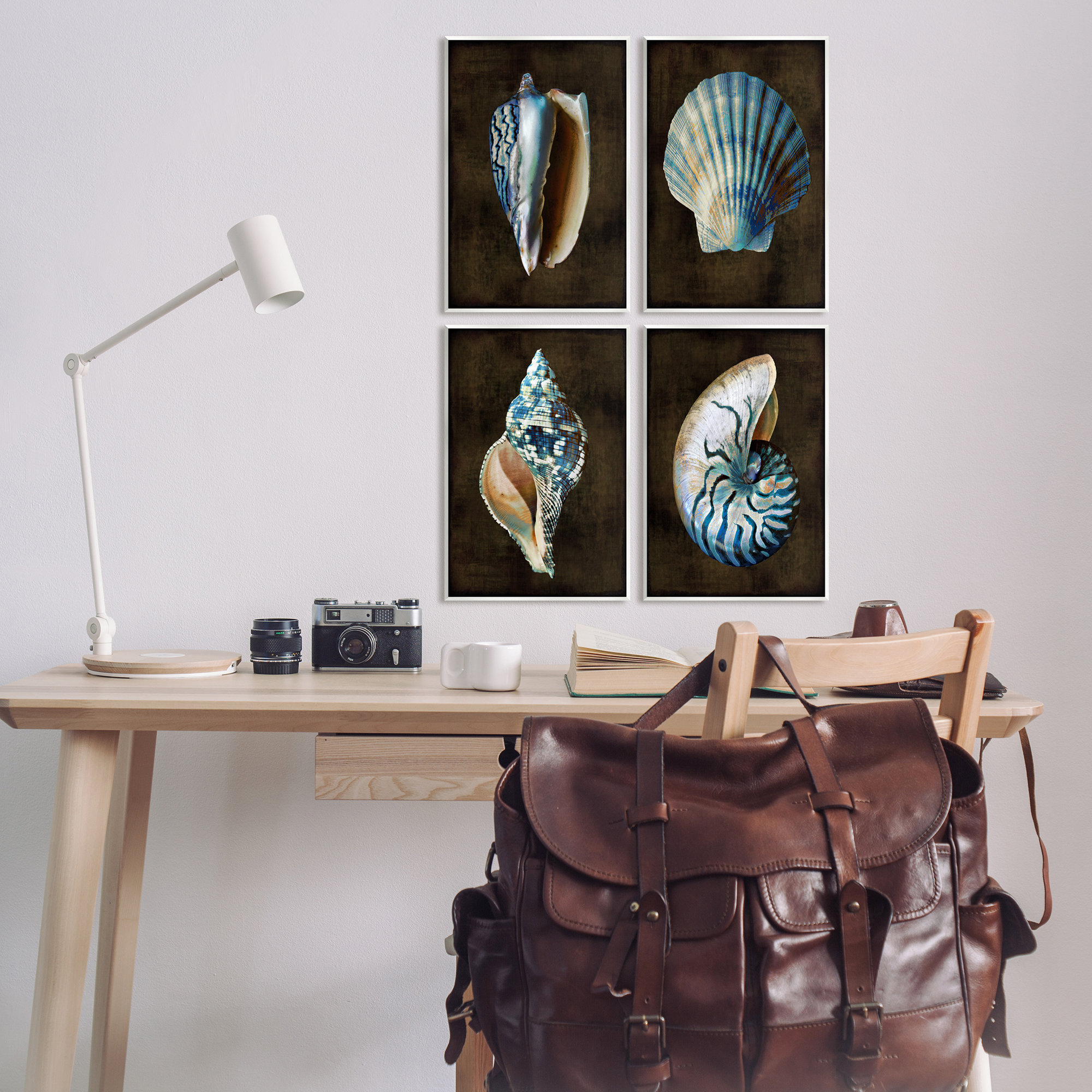 Stupell Industries Seashells On Black On MDF 4 Pieces by Caroline Kelly ...