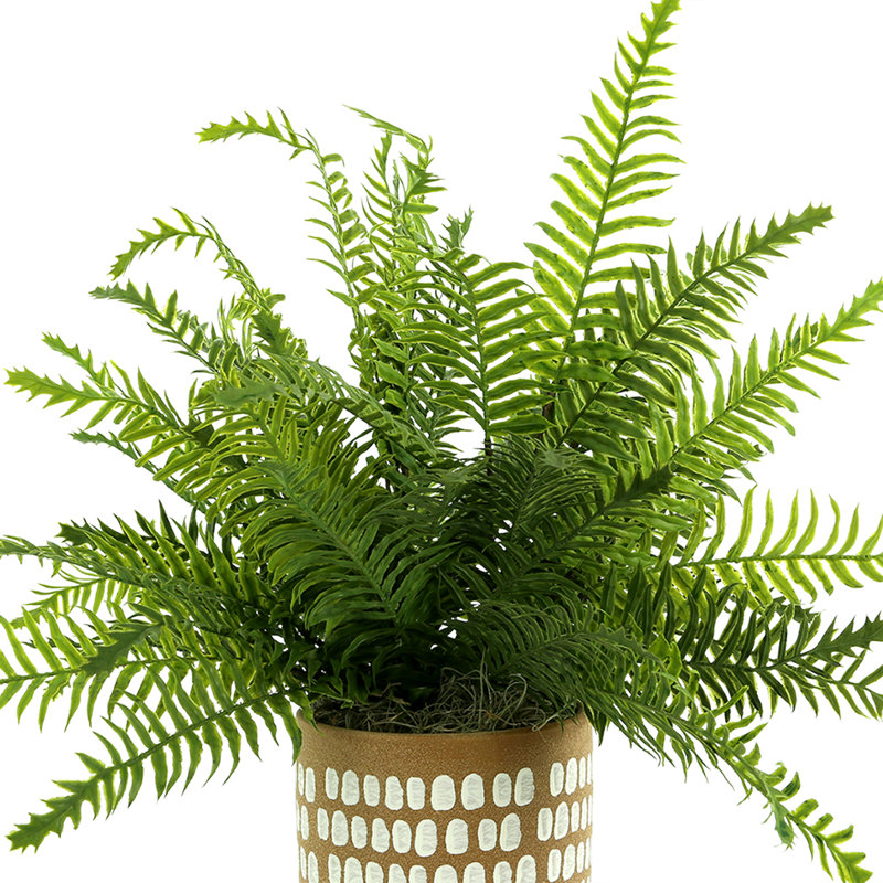 Primrue Metson 20" Faux Fern Plant in Ceramic Pot | Wayfair