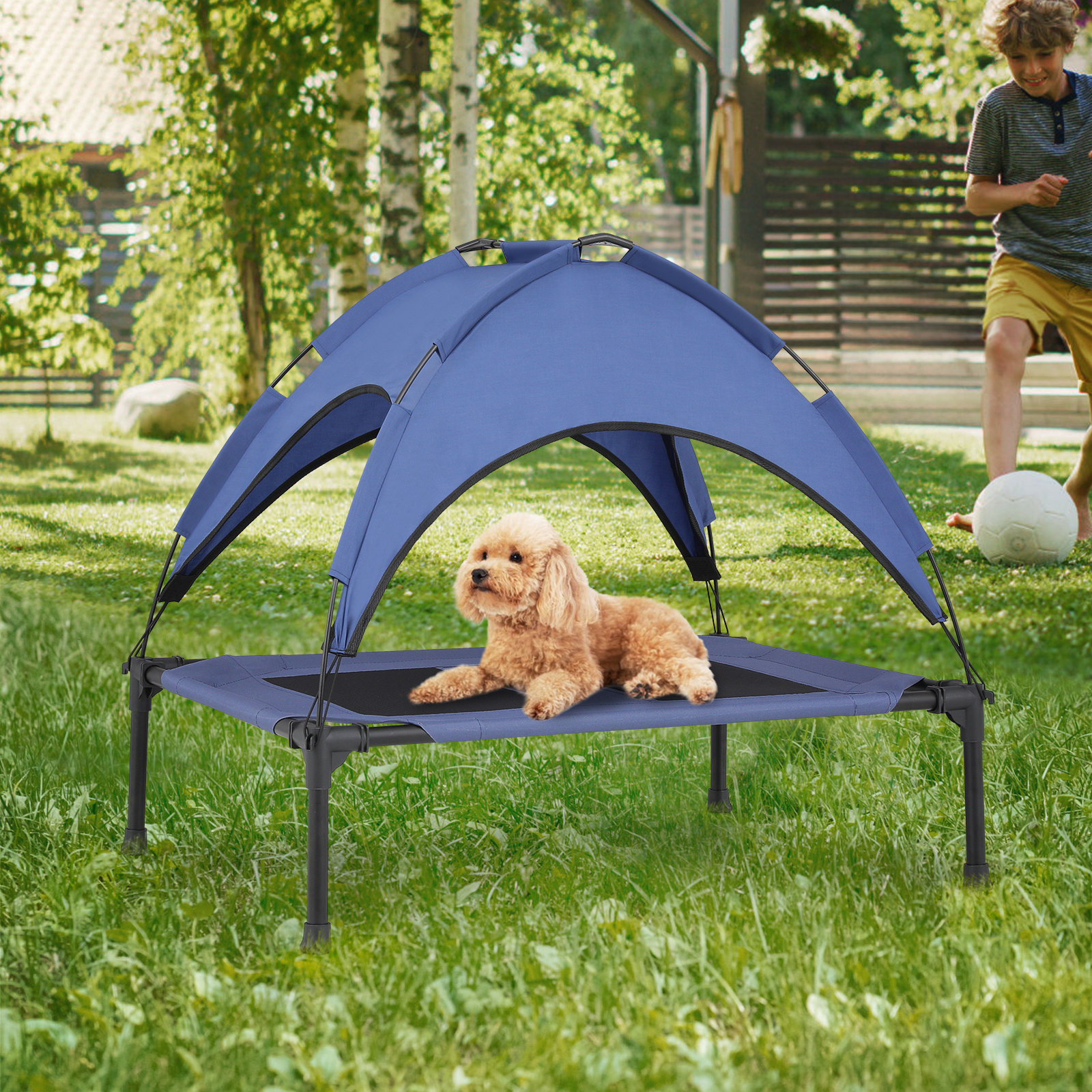 Tucker Murphy Pet™ Elevated Dog Bed With Canopy, Outdoor Dog Cot With ...