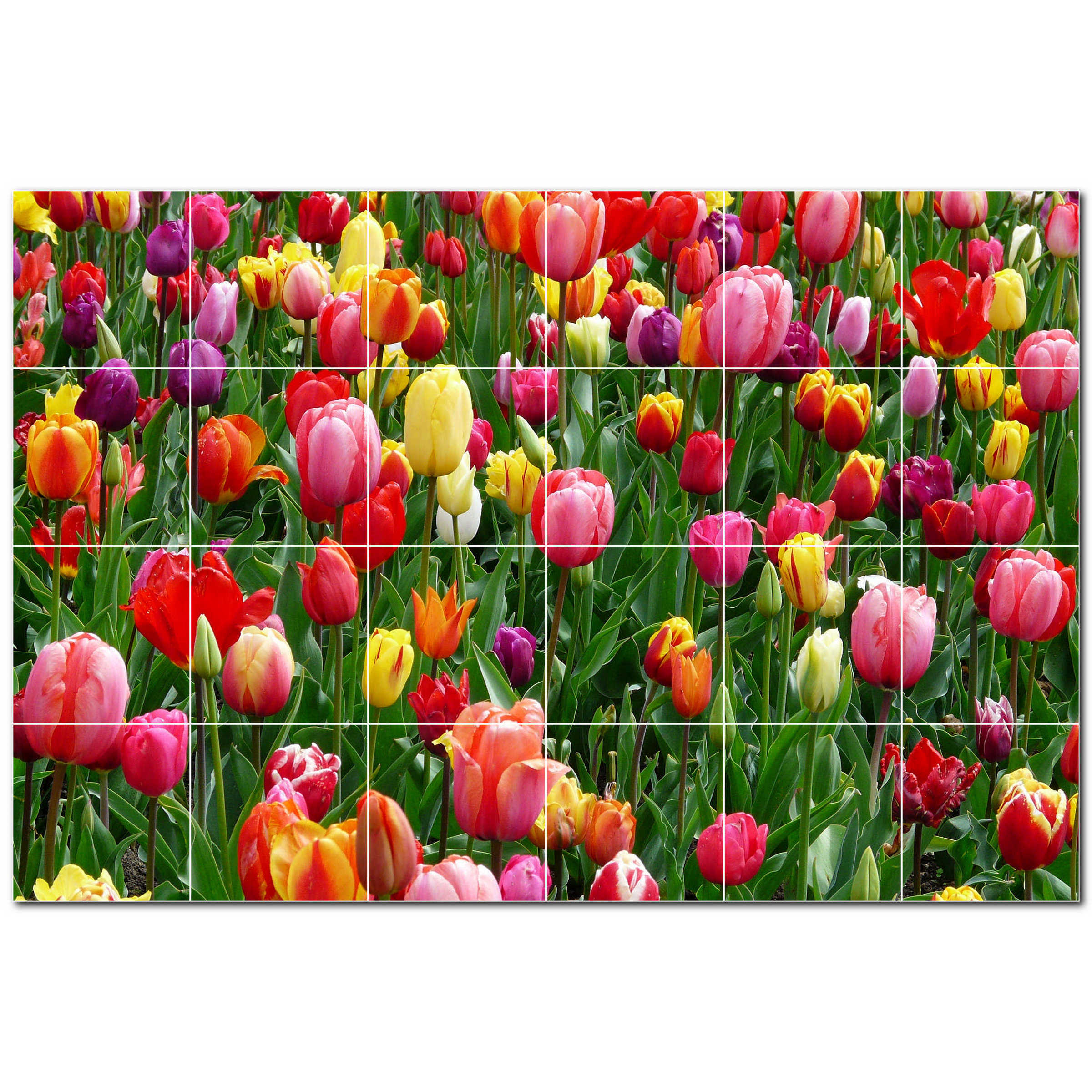 Picture-Tiles.com 12'' x 12'' Satin Ceramic Decorative Mural | Wayfair