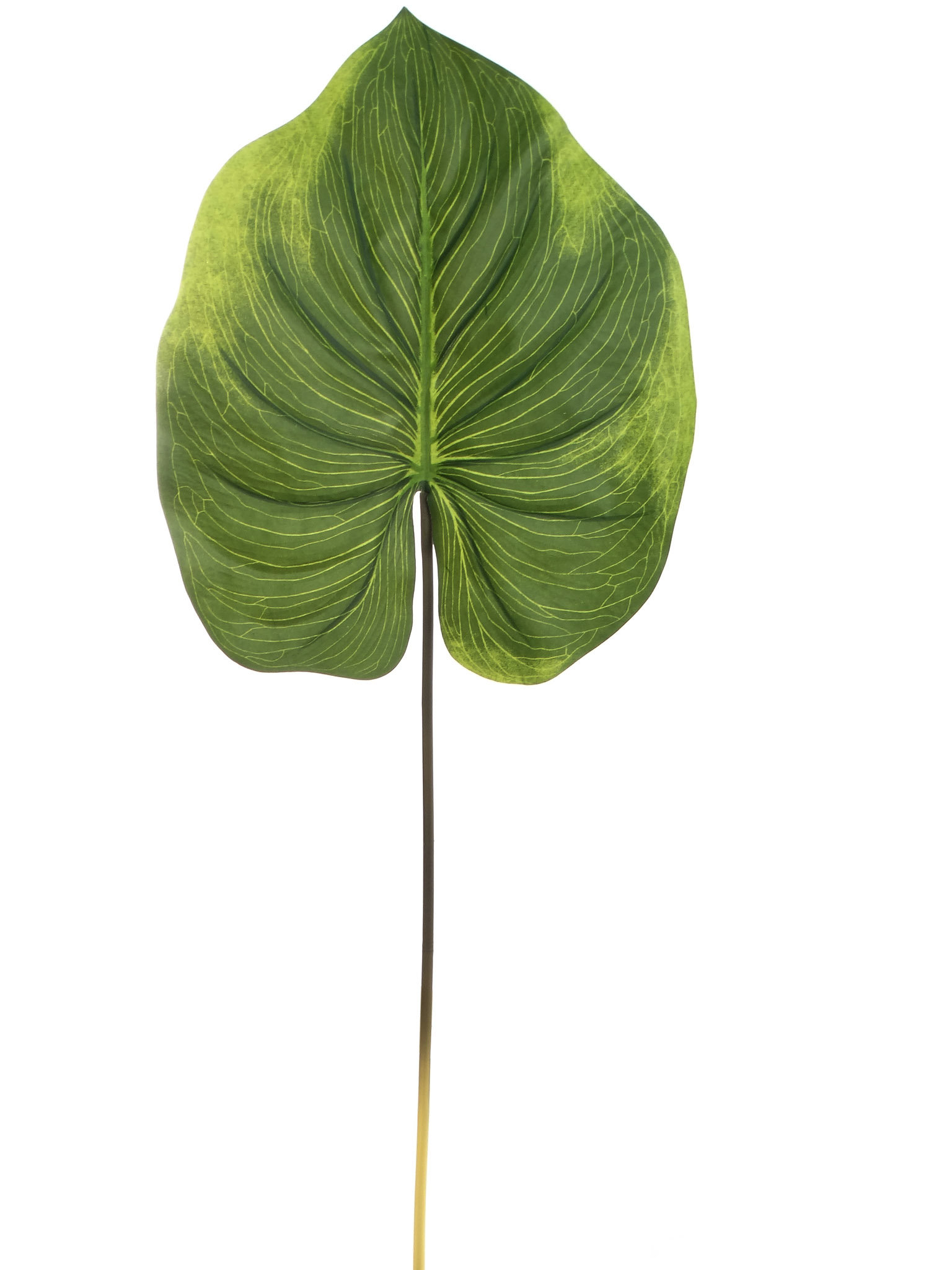 Primrue Mixed Stem | Wayfair