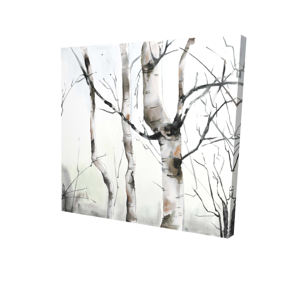 Begin Edition International Inc. Three Birches Trees - 32X32 Print On ...