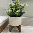 Beachcrest Home 6" Artificial Plant in Pot & Reviews | Wayfair