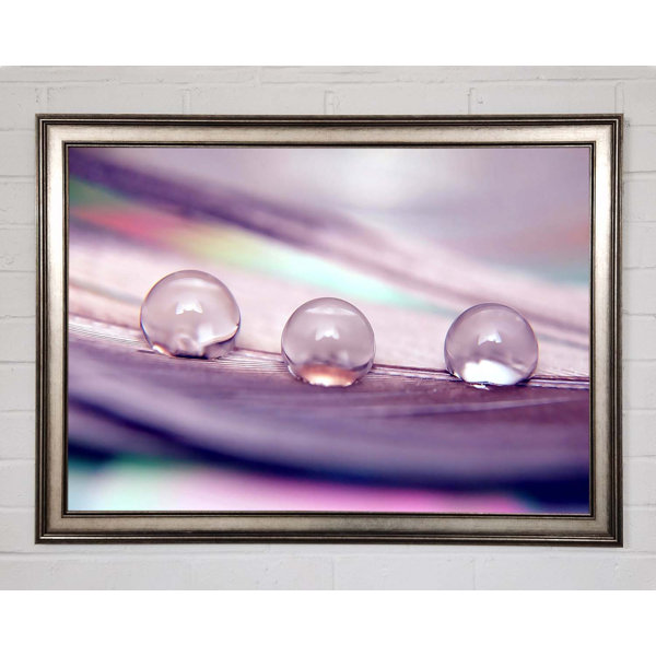 Ivy Bronx Three Water Drops - Single Picture Frame Art Prints | Wayfair ...