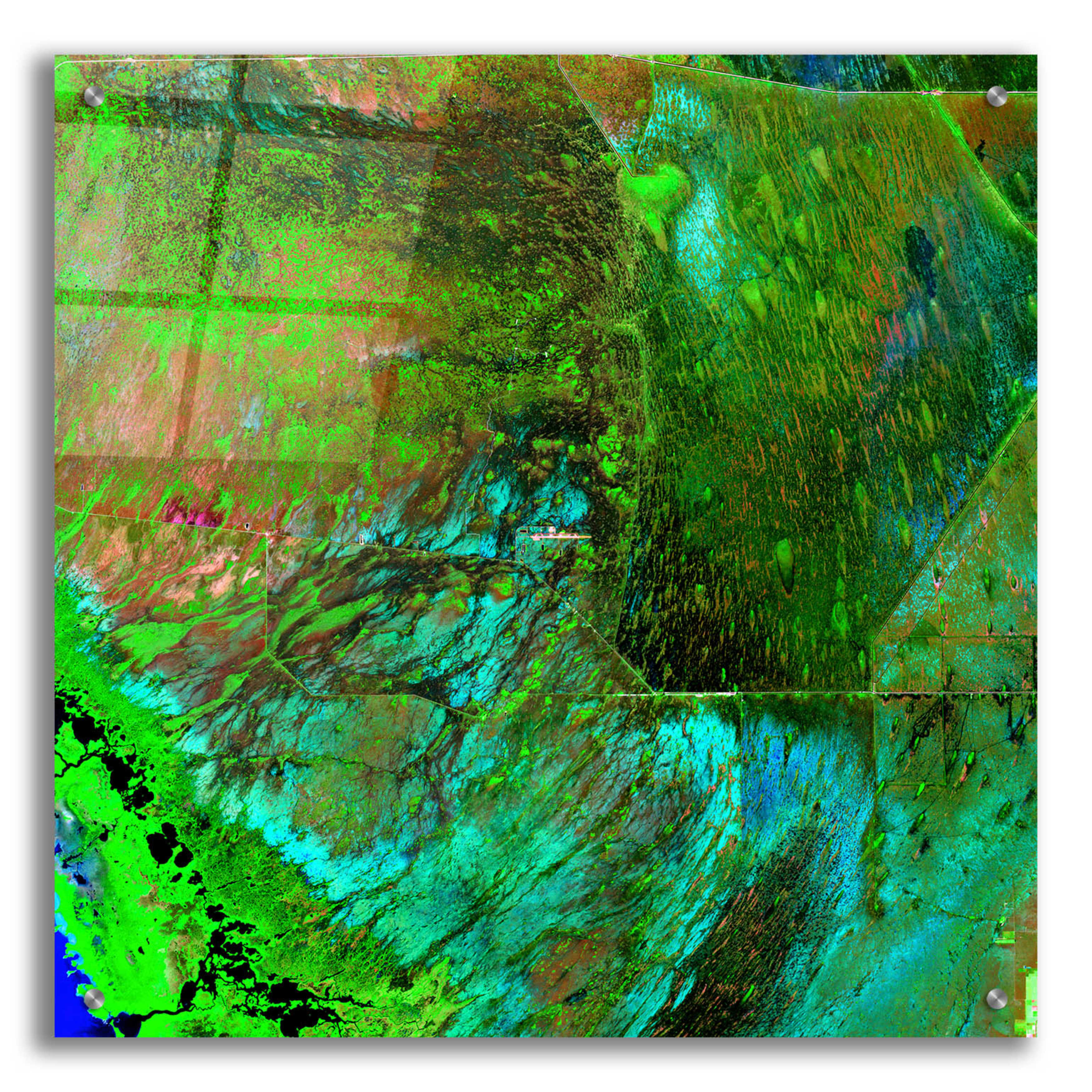 Trinx Everglades - impression sans cadre - Wayfair Canada