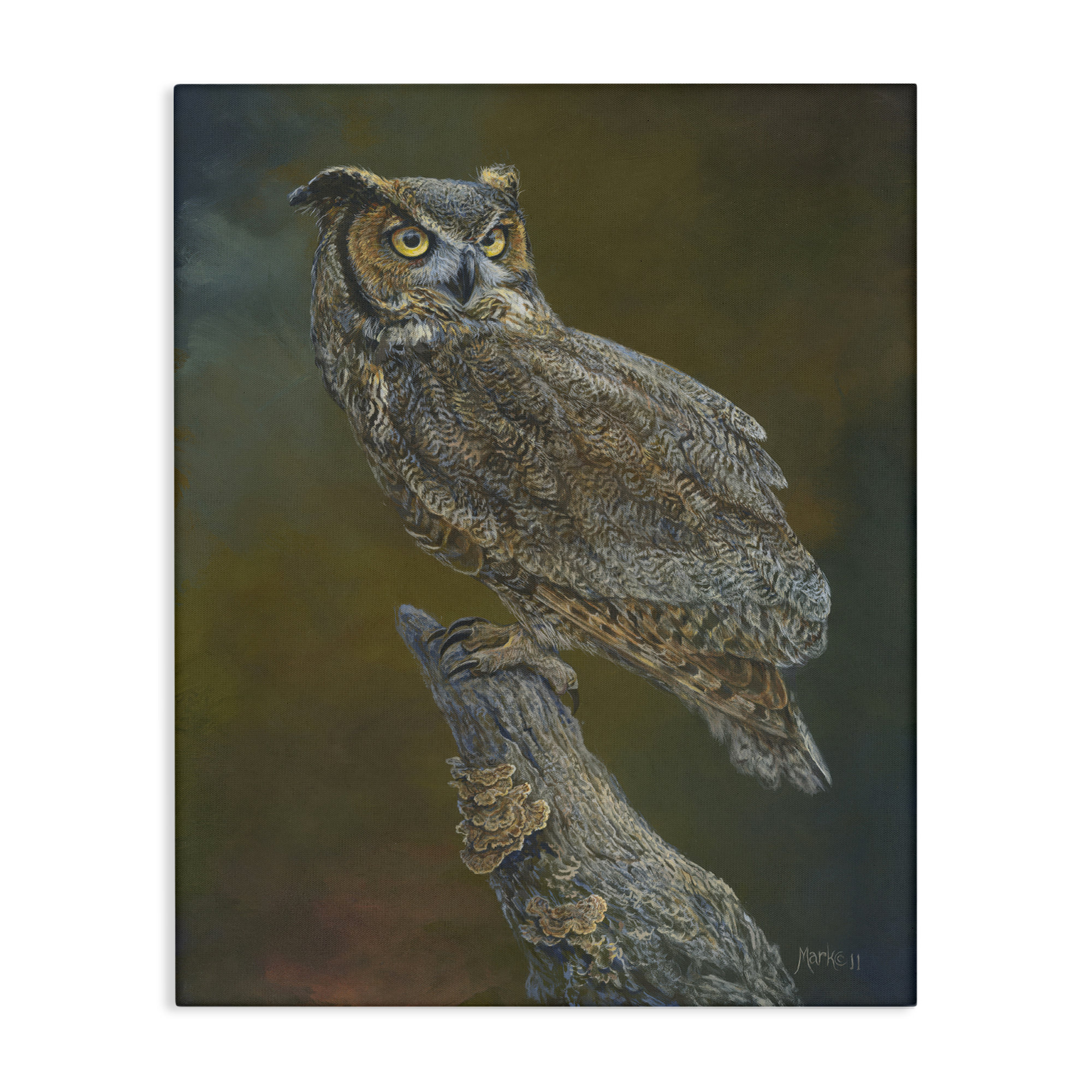 Millwood Pines Great Horned Owl on Branch Canvas Wall Art by Laura Mark ...