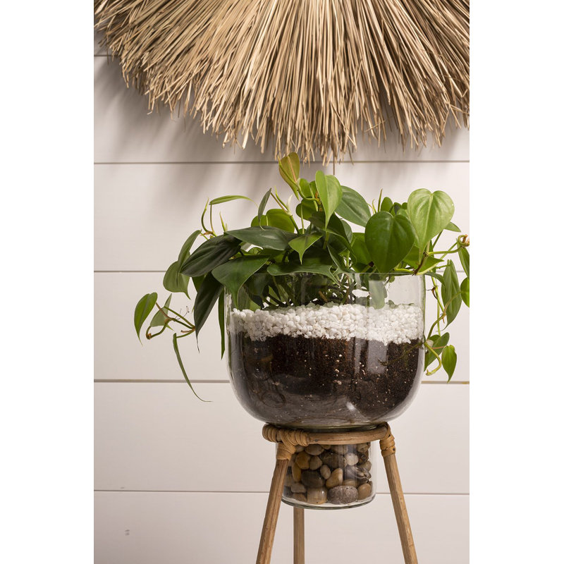 Bay Isle Home™ Sync Glass Pot Planter | Wayfair