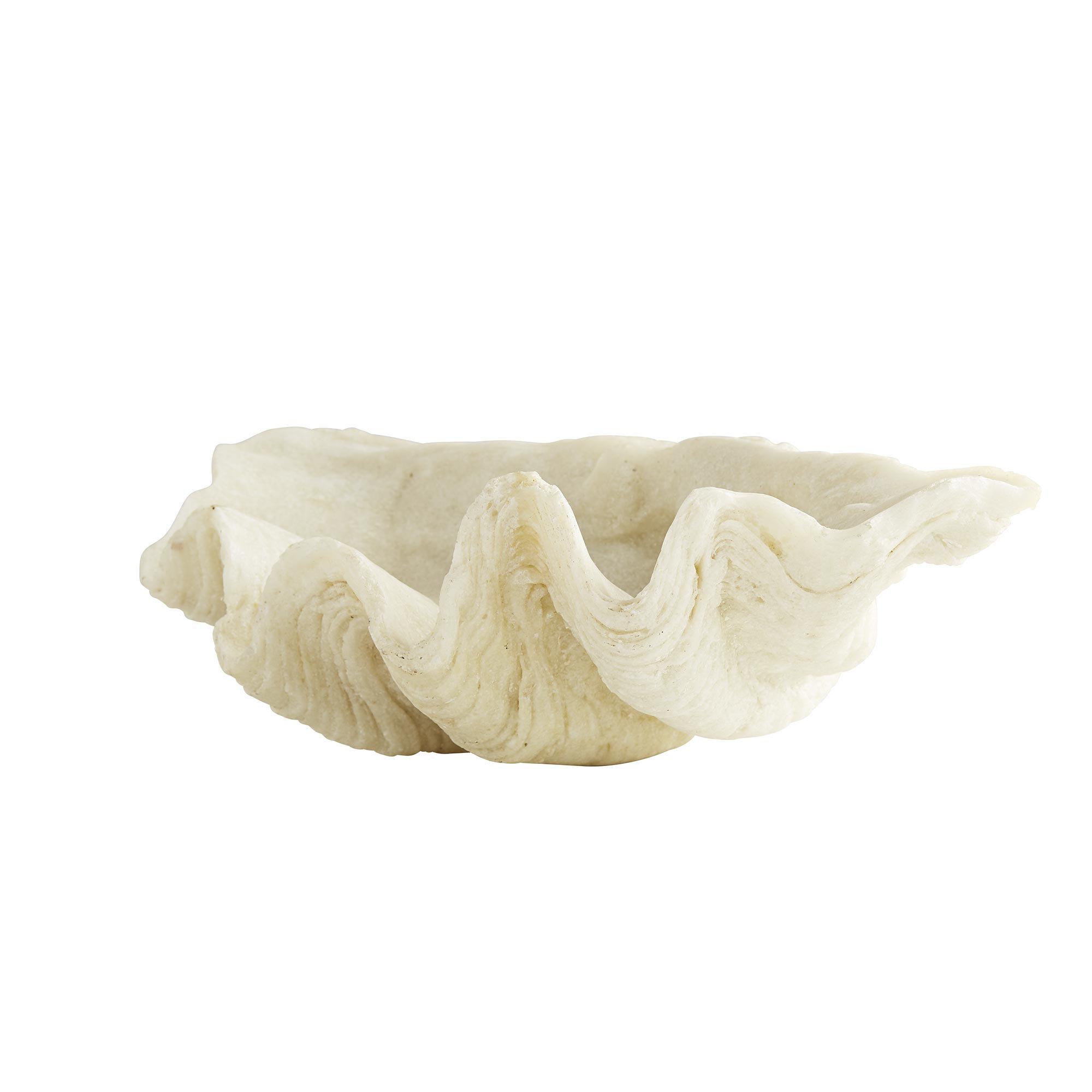 ARTERIORS Maurice Centerpiece Sculpture | Perigold