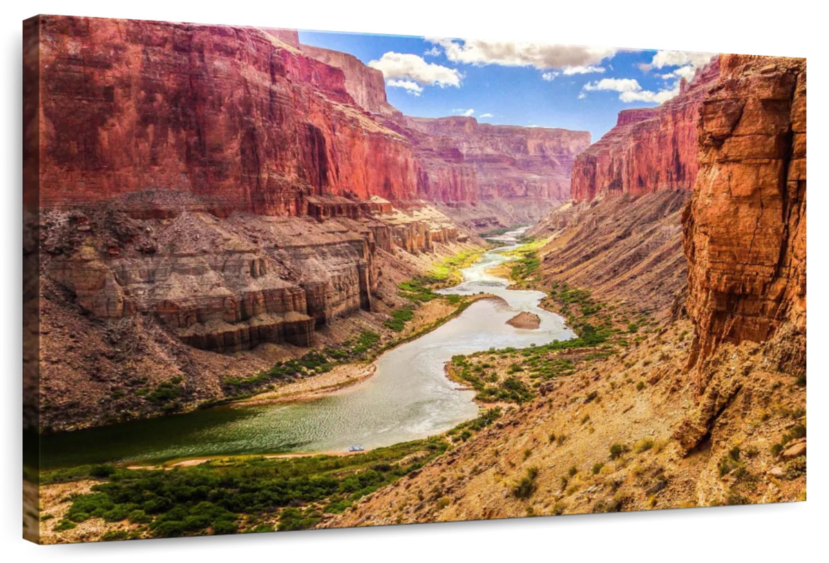 Elephant Stock Colorado River Landscape | Wayfair