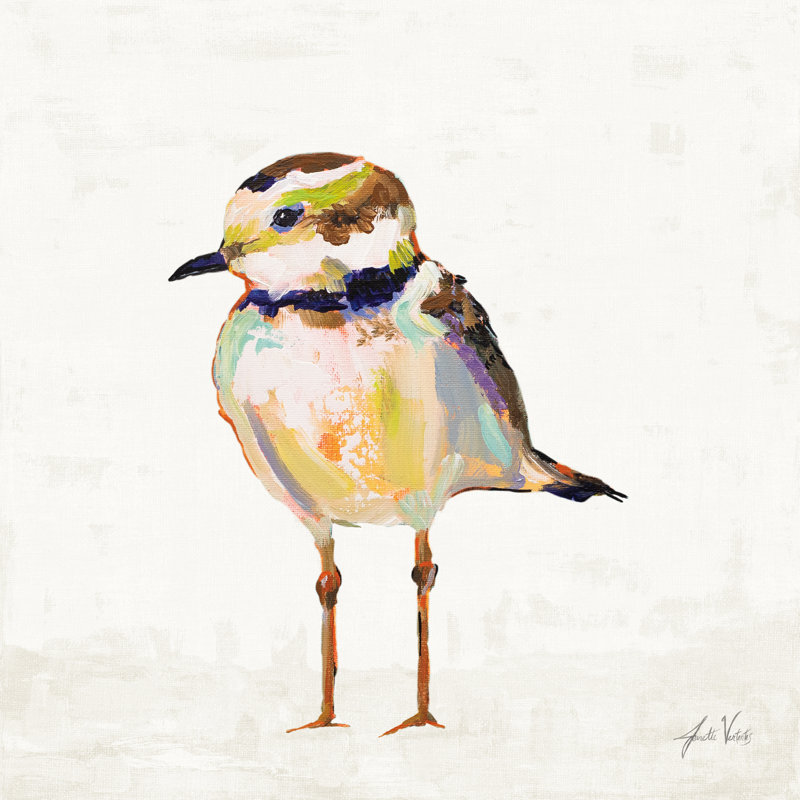 Beachcrest Home Coastal Plover II Linen by Jeanette Vertentes Painting ...