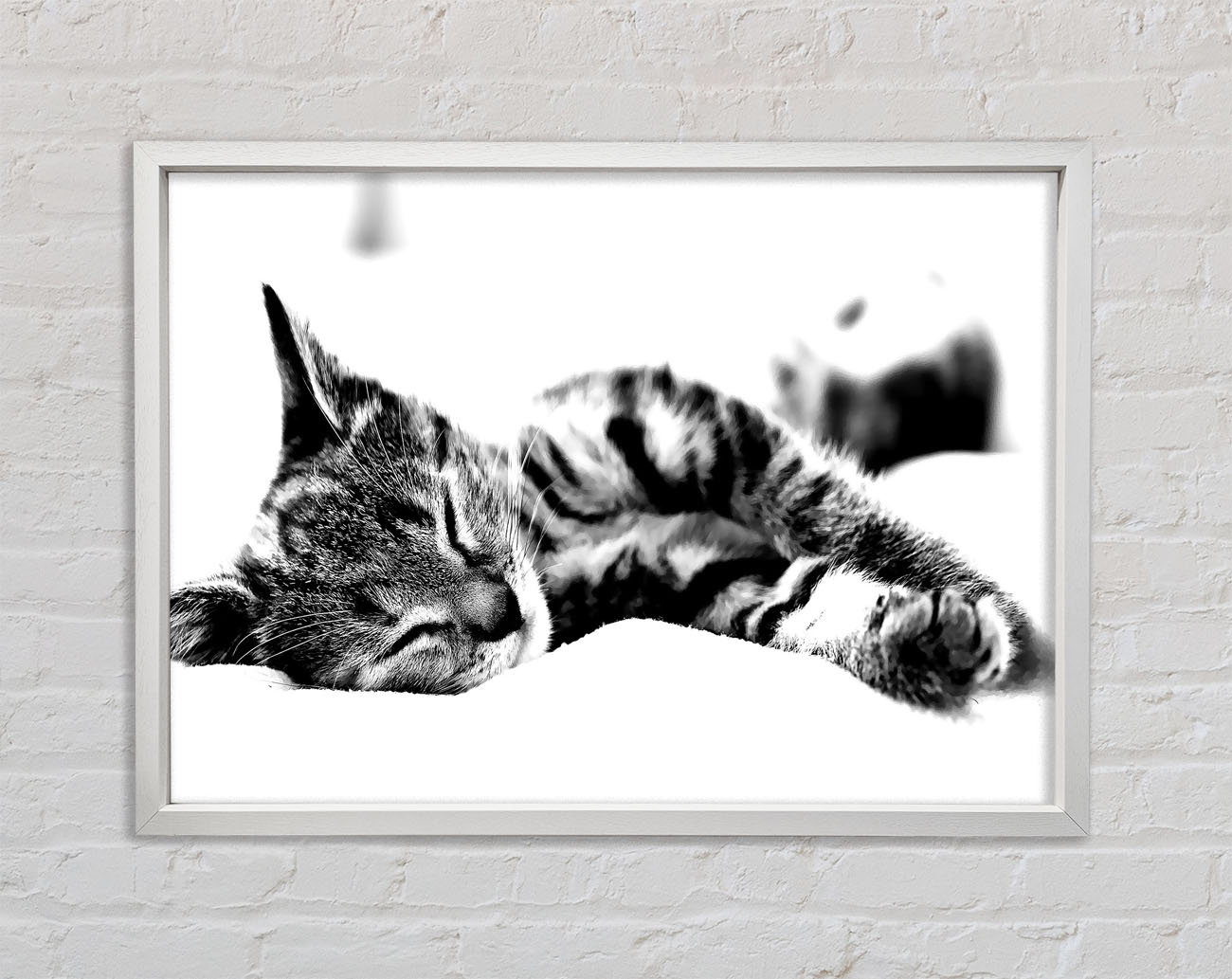 Ebern Designs Nap Time Cat Framed Print | Wayfair.co.uk