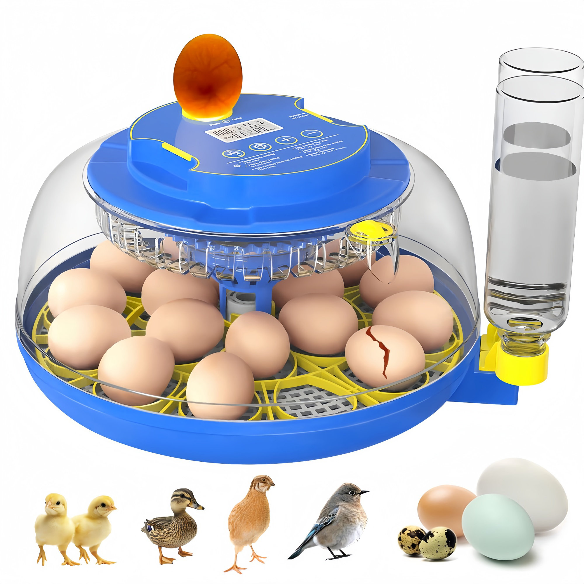 Tucker Murphy Pet™ 18 Egg Automatic Digital Egg Incubator With Led ...