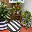 Sand & Stable Bothnian Plant Stand & Reviews | Wayfair