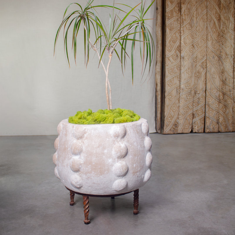 Gracie Oaks Short Terracotta pot with stand. | Wayfair
