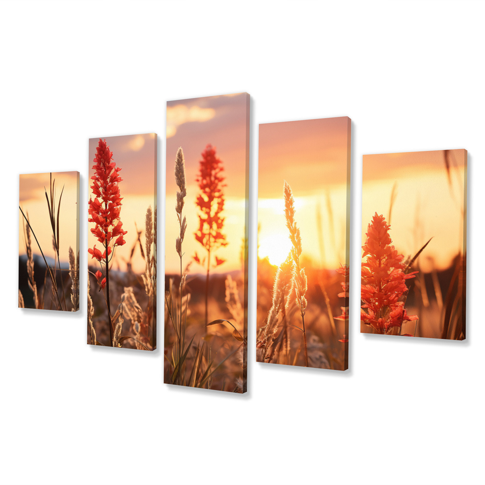August Grove Wildflowers Field With Sunset - Floral Wall Decor - 5 ...