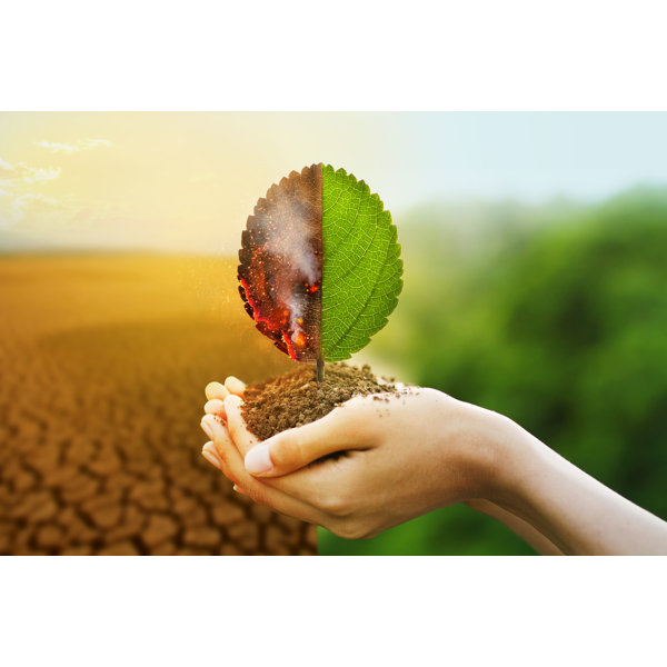 Ebern Designs Climate Change On Canvas Print | Wayfair