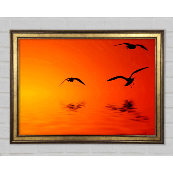 Highland Dunes Orange Ocean Flight Framed Print | Wayfair.co.uk