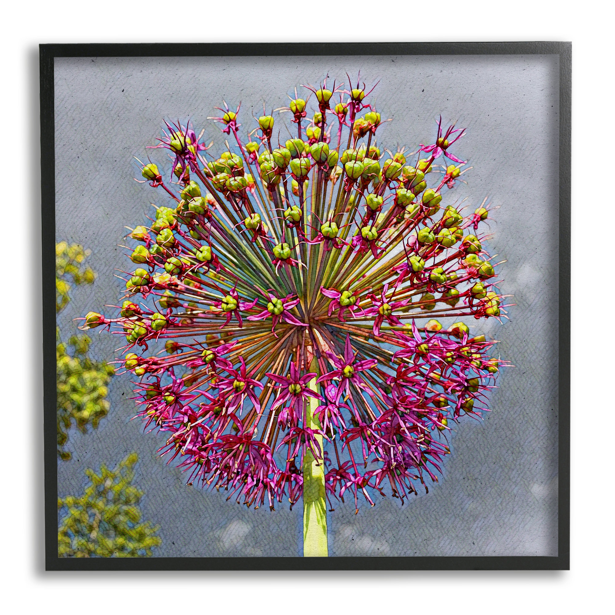 Stupell Industries Modern Dandelion Pink Abstract by Heidi Bannon ...