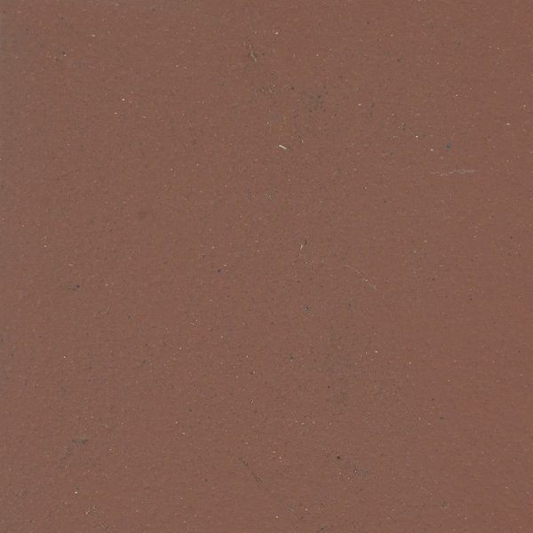 Daltile Quarry Textures 8" x 8" Floor Tile in Matte Diablo Red (11.11 ...