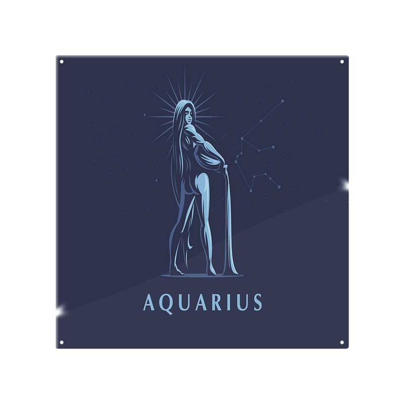 Ivy Bronx Sign Of The Zodiac Aquarius Dining Splash Back | Wayfair.co.uk