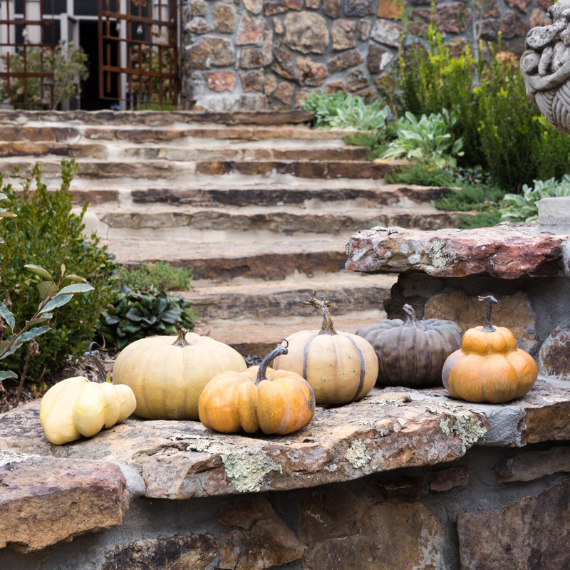 Park Hill Collection "Le Potiron" French Pumpkin Collection, Set Of 6 ...