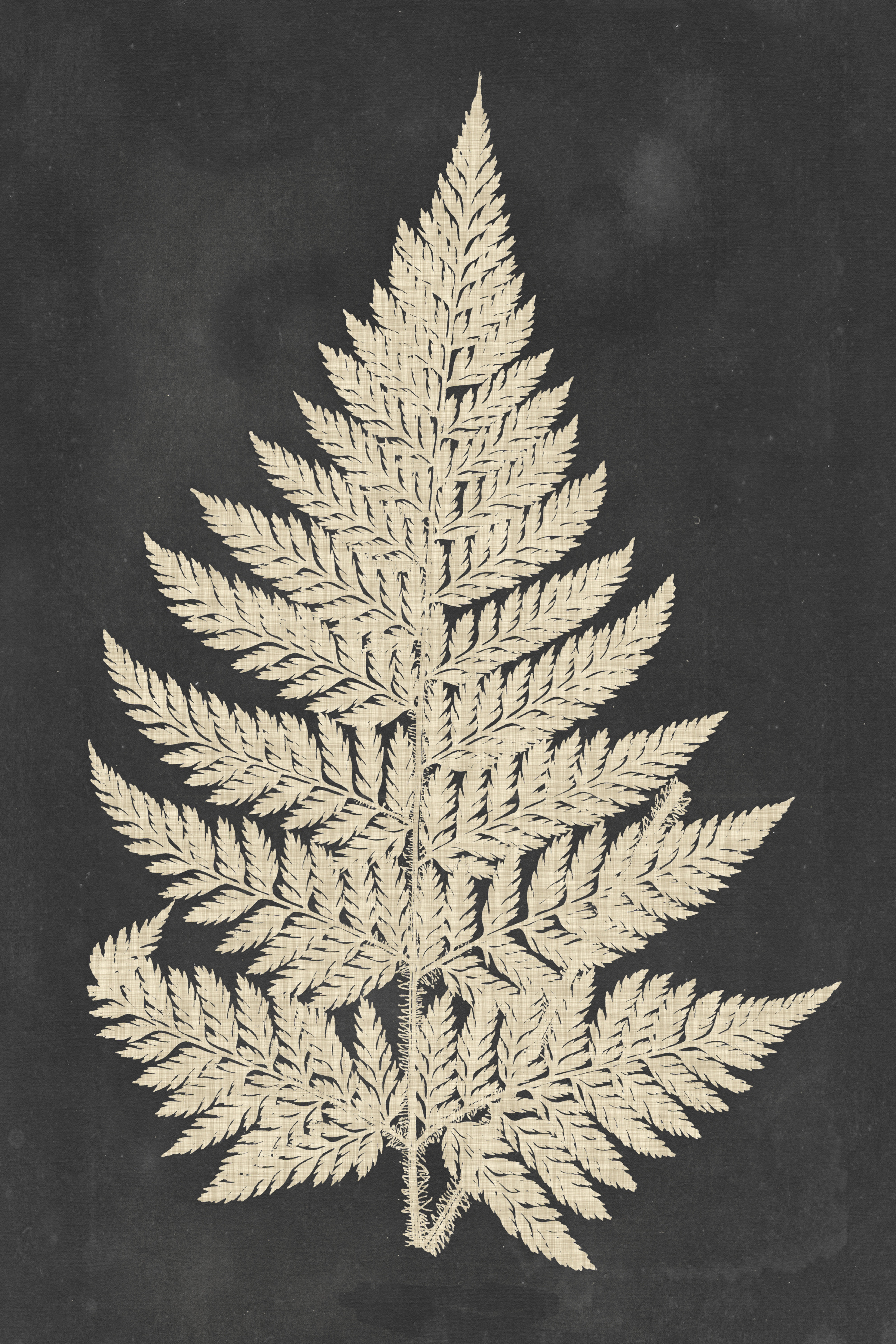 Laurel Foundry Modern Farmhouse Linen Fern I on Canvas Print - Wayfair ...