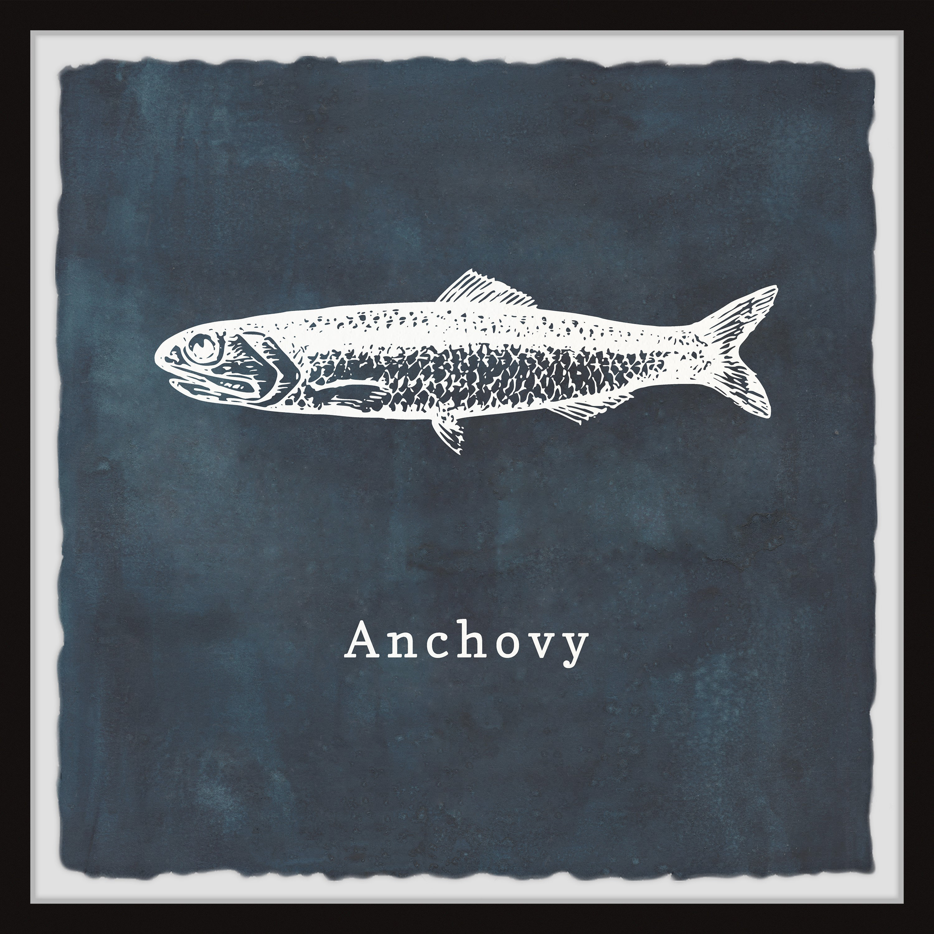 Rosecliff Heights ''Anchovy'' Framed Print | Wayfair