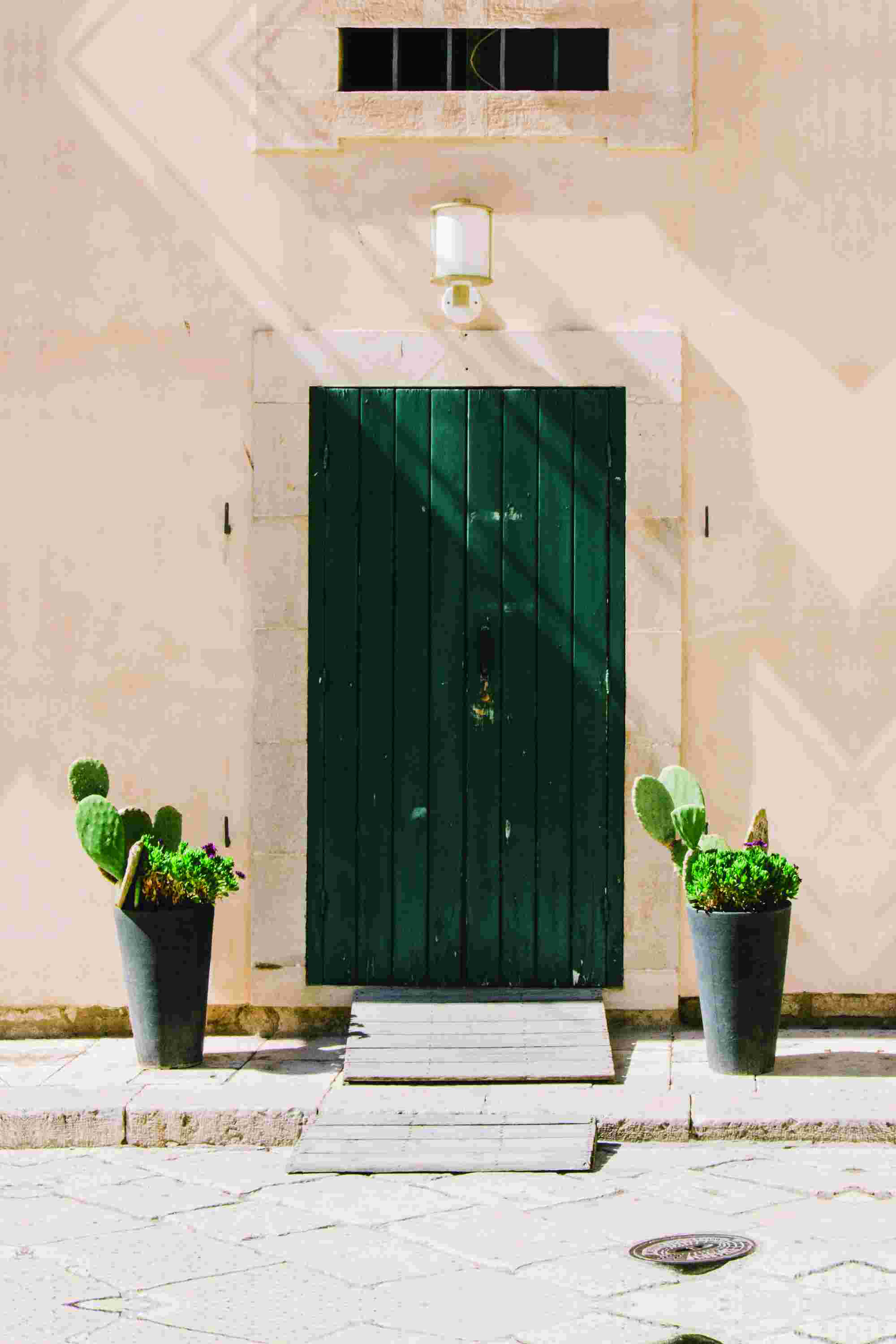Trinx Green Door Cacti | Wayfair