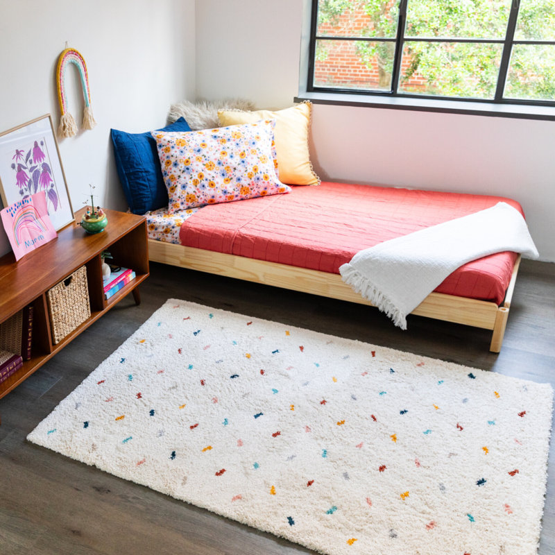 AllModern Mayon Dot Rainbow Colored Shag Area Rug & Reviews | Wayfair