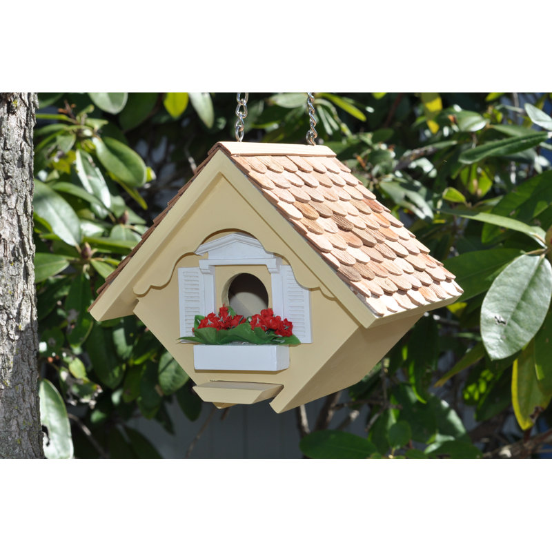 Home Bazaar Fledgling Series Little Wren House 6.5 in x 8 in x 6 ...