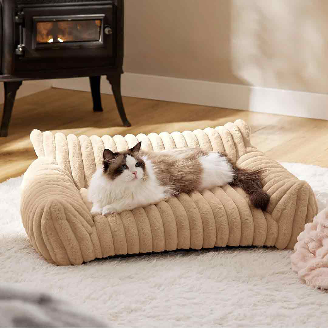 Tucker Murphy Pet™ Cute Cat Couch For Pets - Fluffy Small Dog Sofa With ...