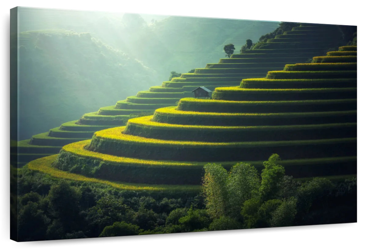 Millwood Pines Alvord Lush Rice Terraces - Wayfair Canada