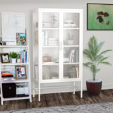 17 Stories Tramesha Glass Accent Cabinet | Wayfair
